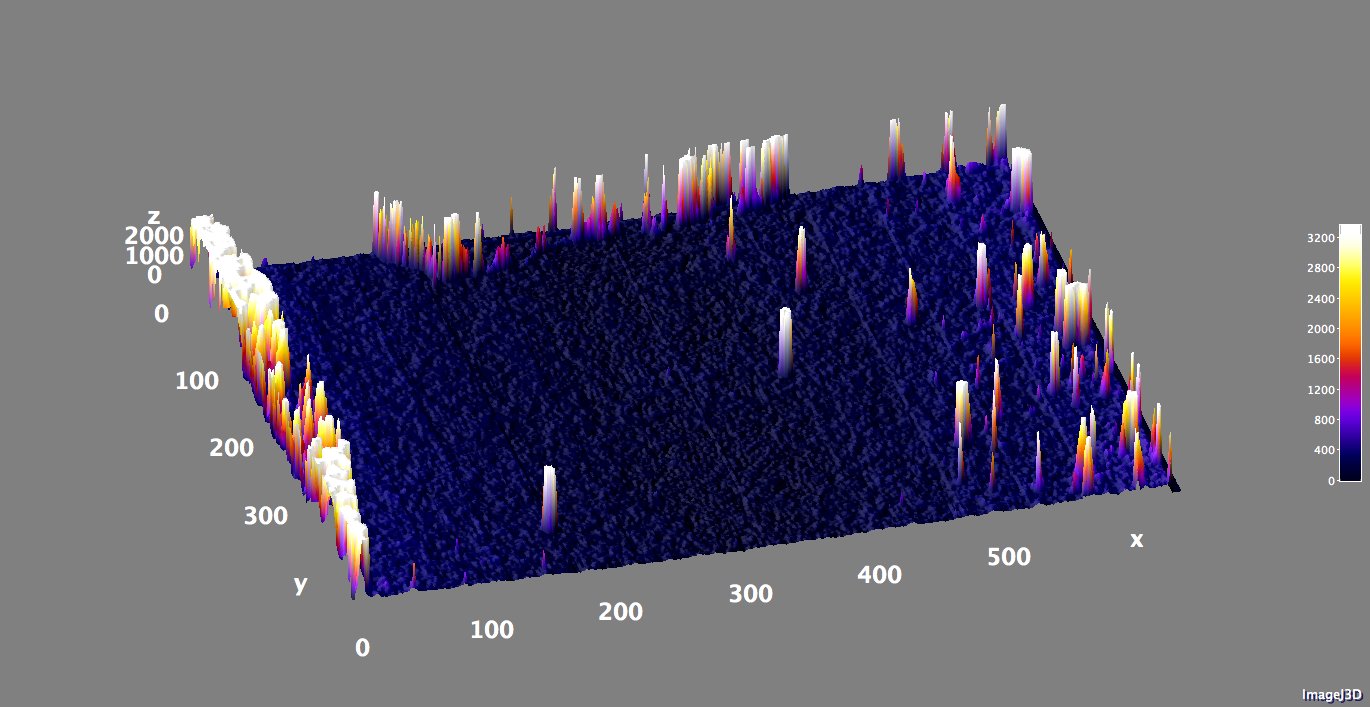 Research at a snail's pace: Hacking the Em2: Using the ImageJ to create ...