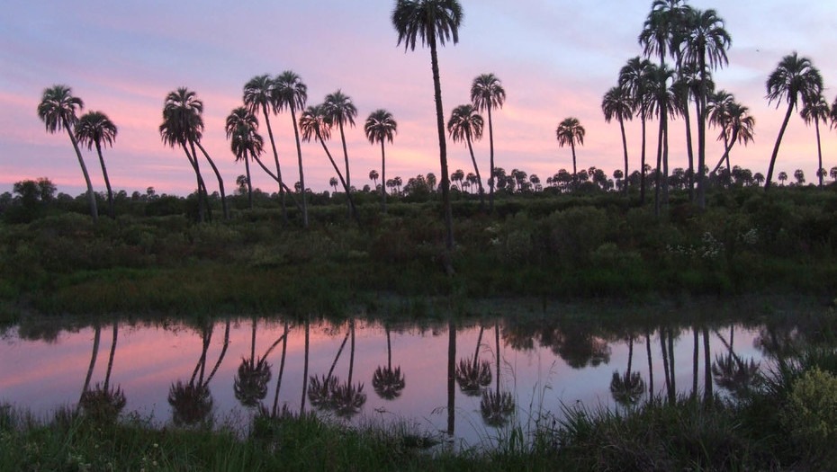 Sección Provincia de Entre Ríos - Region Litoral