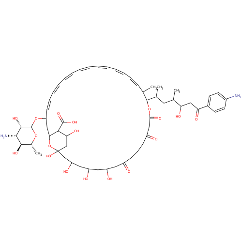 Pharmacology Of Candicidin