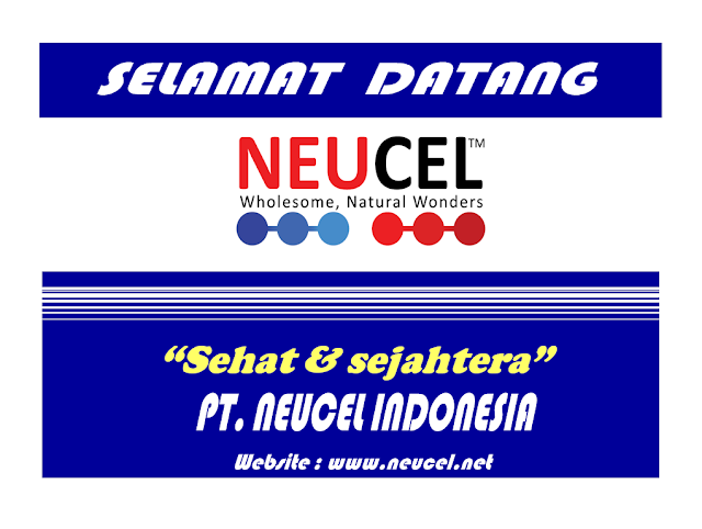 PT Neucel Indonesia