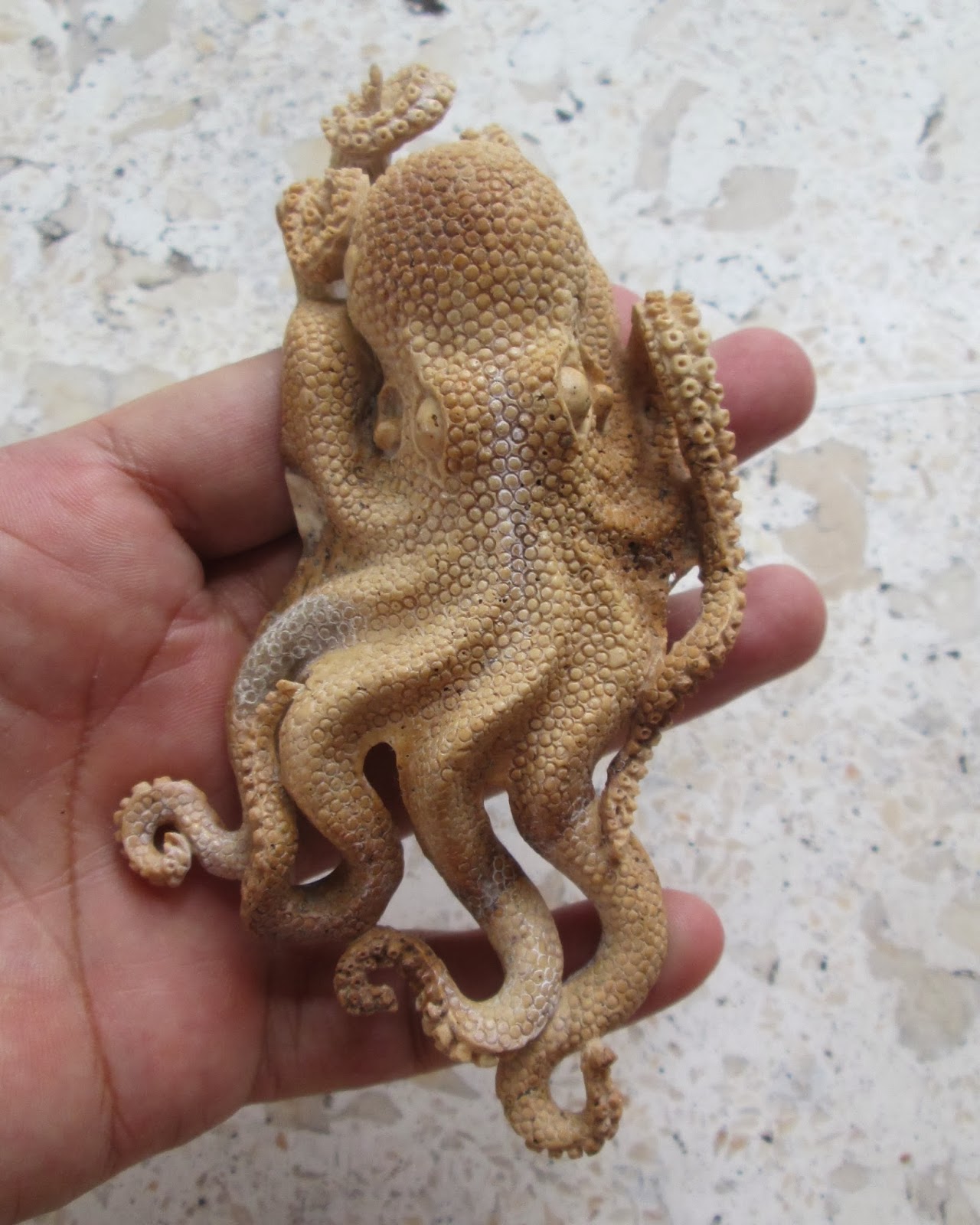 Octopus Bone Carving, Special Carving - Bone Pendants | Bone Carving ...
