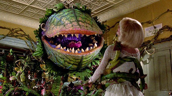 naturaleza en asturias: Audrey Jr. en Brañagallones