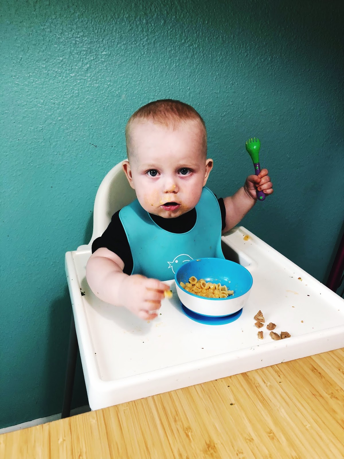 Baby Sullivan | Week Fifty One - Hollen Home