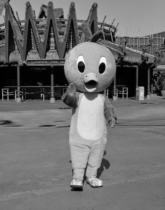 Disney Avenue: The History of the Orange Bird
