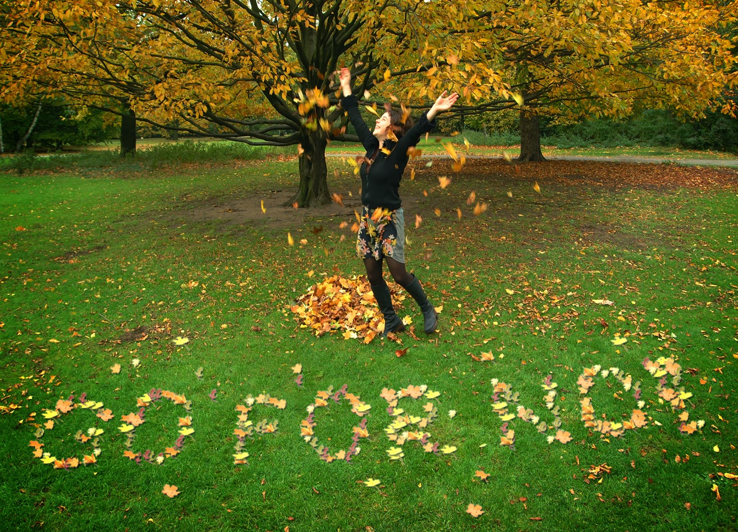 Fail Your Way to Success!