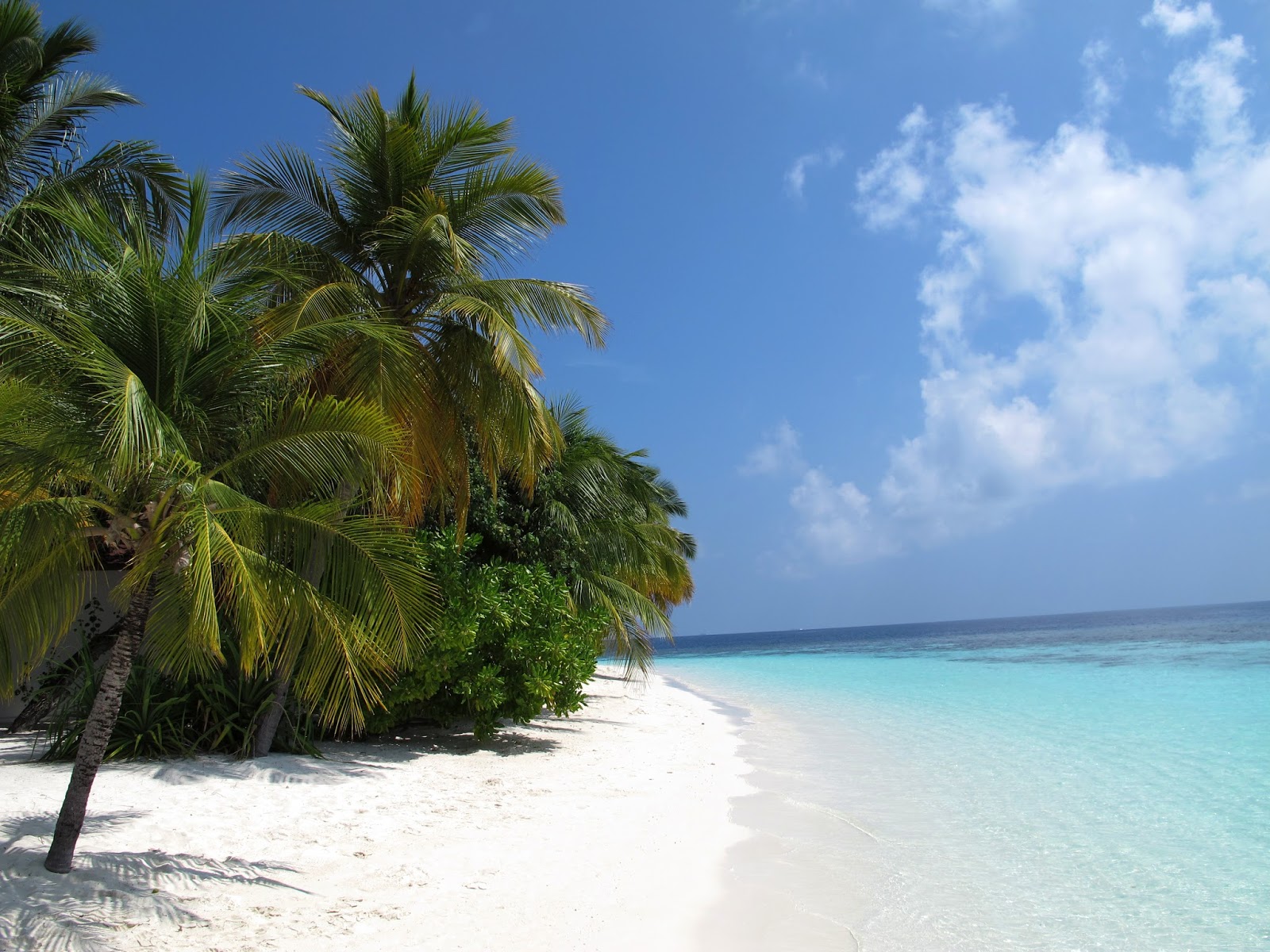 ENVIRONMENT WEATHER & CLIMAT IN MALDIVES
