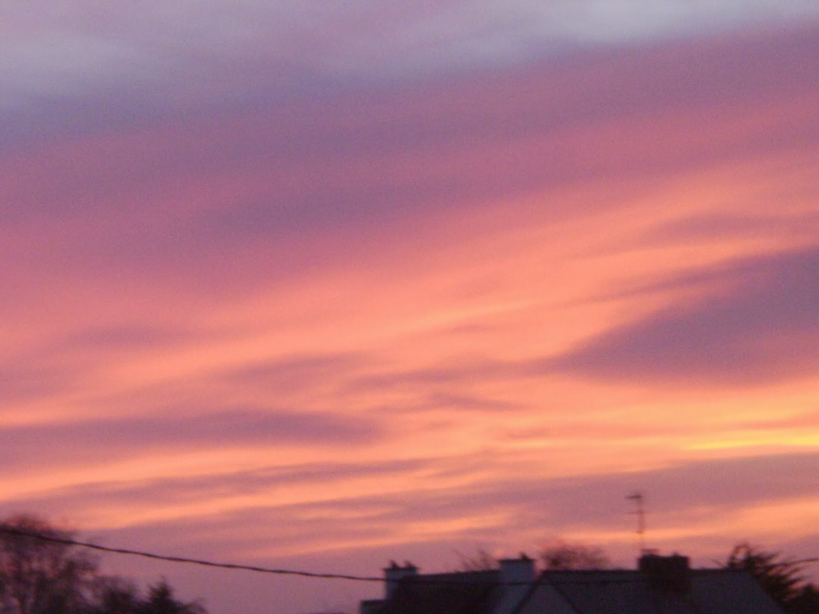 Le Petit Monde des Oisillons: ciel... rose