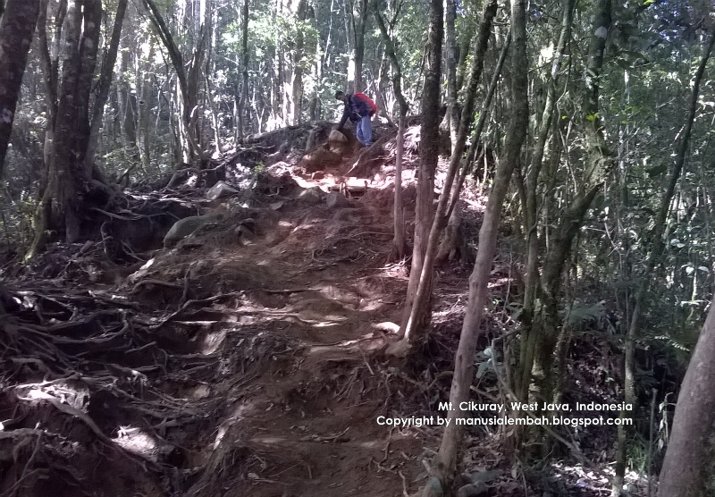 9 Tanjakan Unik di Jalur Pendakian Gunung - Gunung di Jawa - Manusia Lembah