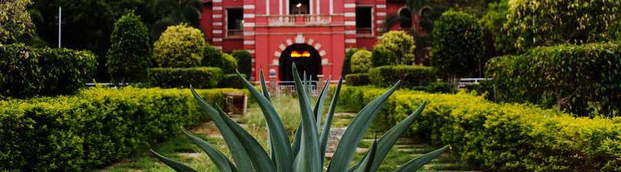 College of Engineering, Guindy