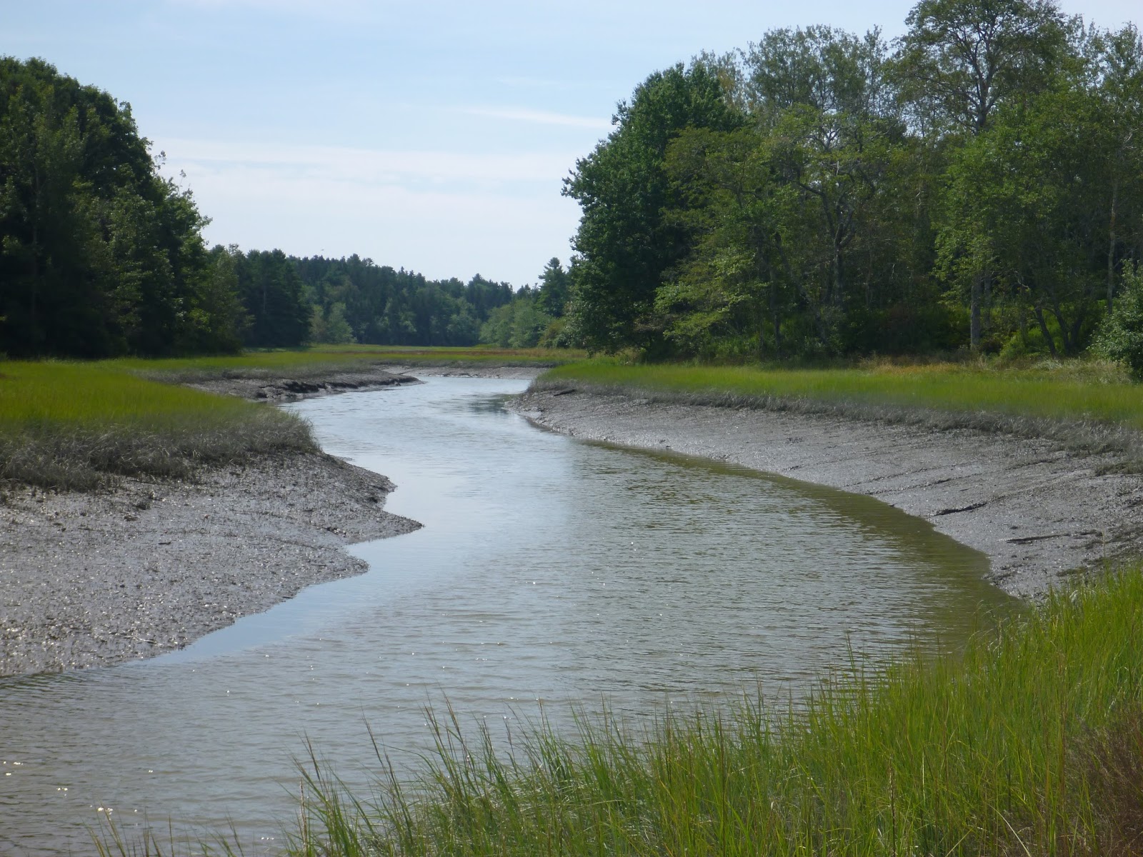 Voyages>`·.¸¸.·´¯`·...¸> : Back River - Half Tide