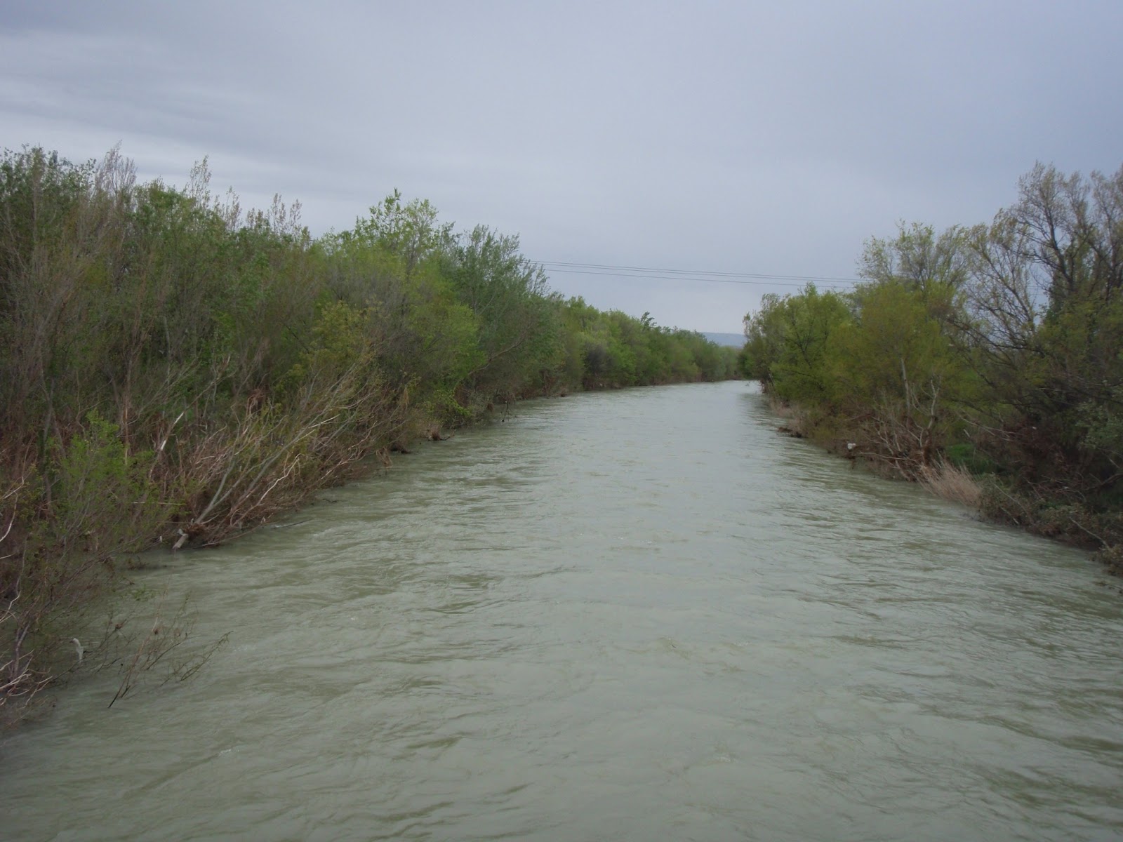 Los bosques riparios