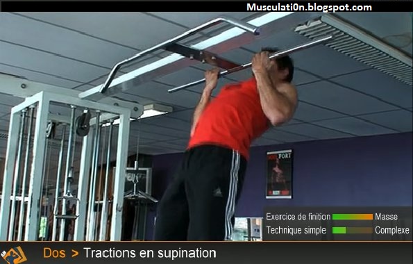 Musculati0n: VARIANTES DES TRACTIONS SUPINATION