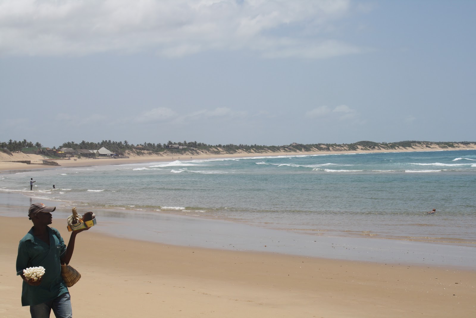 crocodilo vaidoso: praia do tofo - inhambane - moçambique