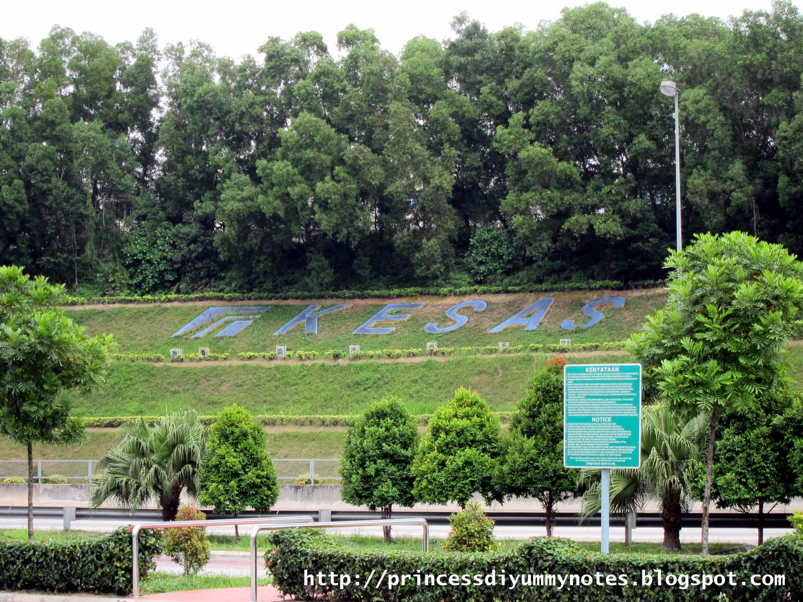 Princess Di's Yummy Notes: Nasi Ayam Kampung @Restoran A. Hassan ...