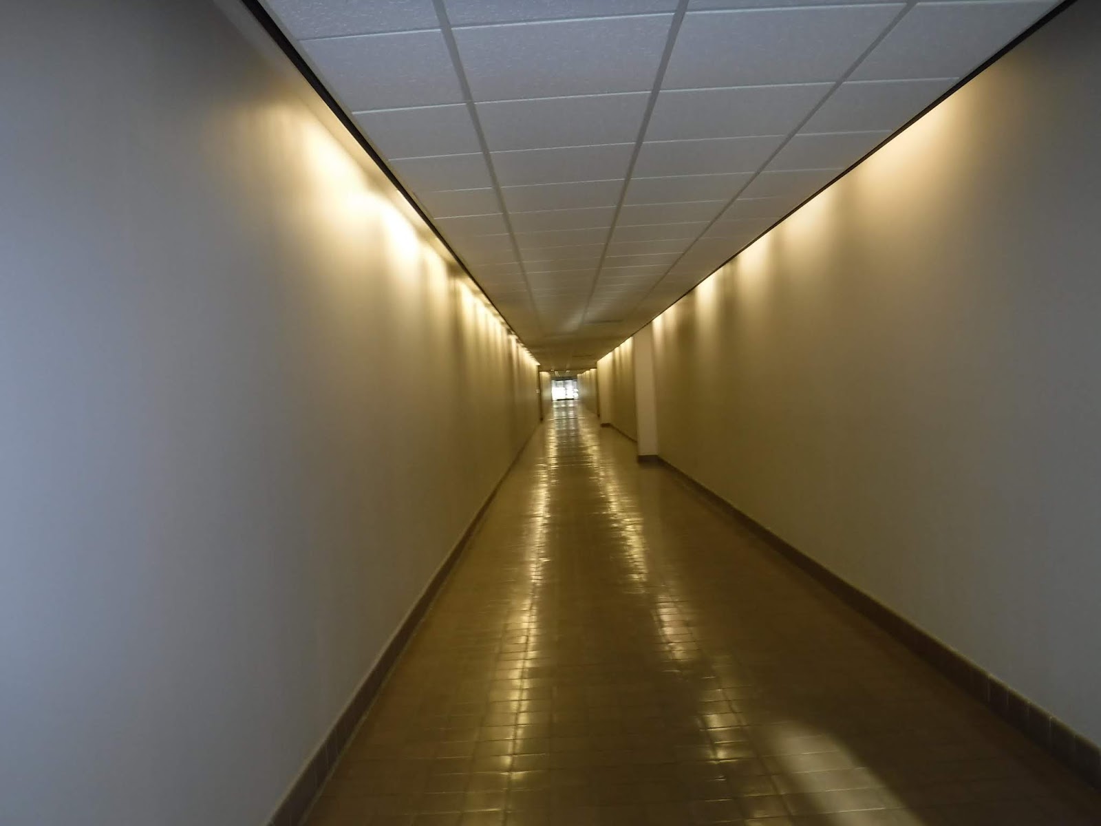 Sioux City Families Explore the Skywalks