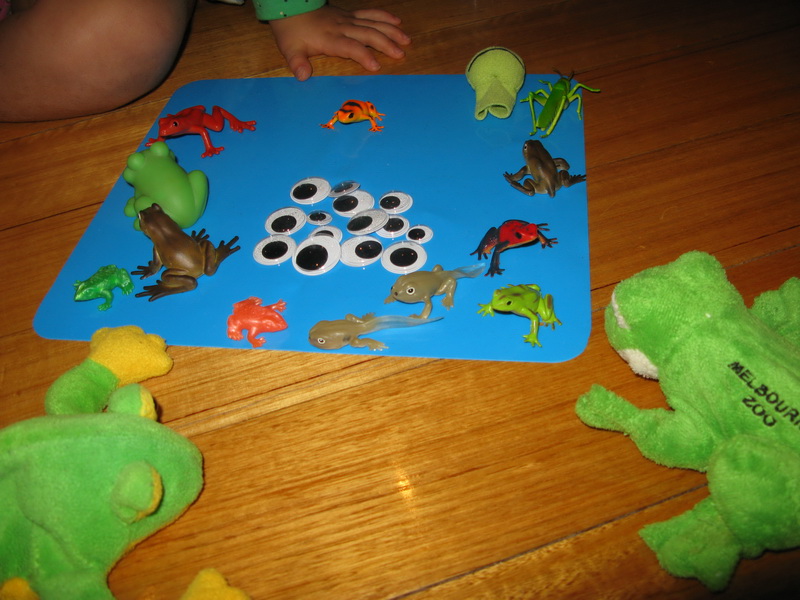 Live and play: Life Cycle of a Frog Sensory Play