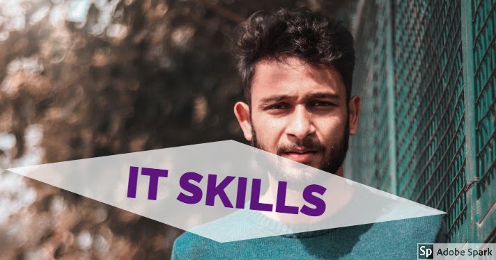 3 top IT Skills every new IT Professionals learn to progress in ...