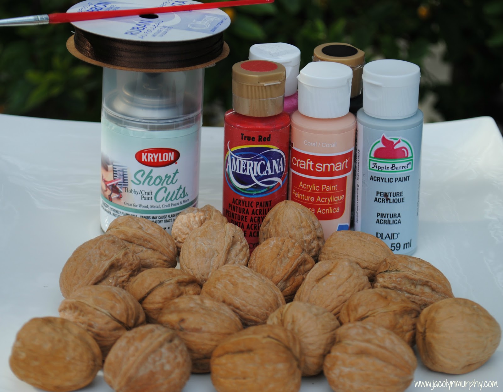 Jac o' lyn Murphy: My Family is Nuts! Silly DIY Ornaments