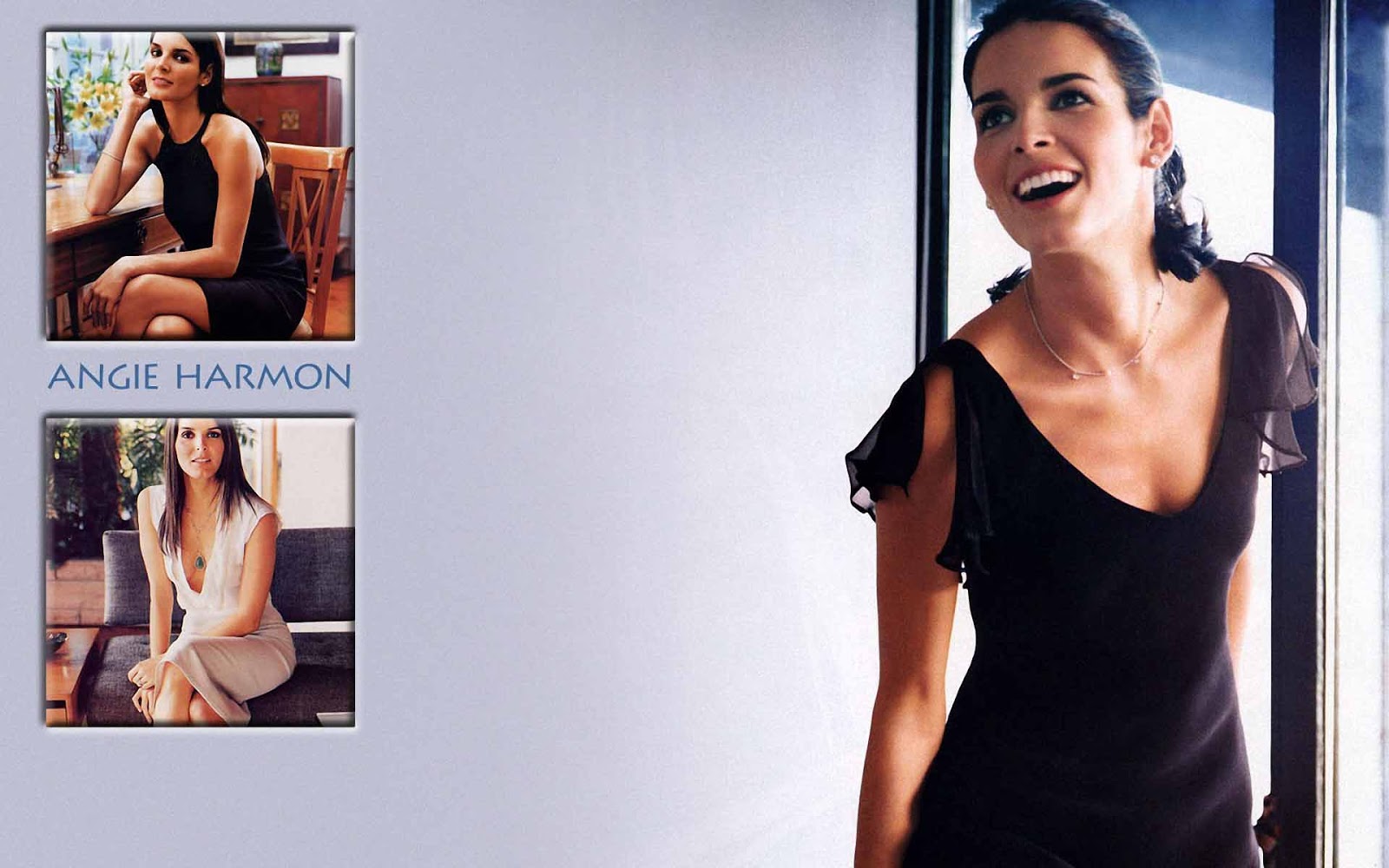 HQ Wallpapers: Angie Harmon Wallpapers HQ Wallpapers: Angie Harmon Wallpapers