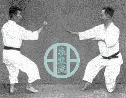 TOP KARATE NOTICIAS: EL ESTILO SHITO RYU