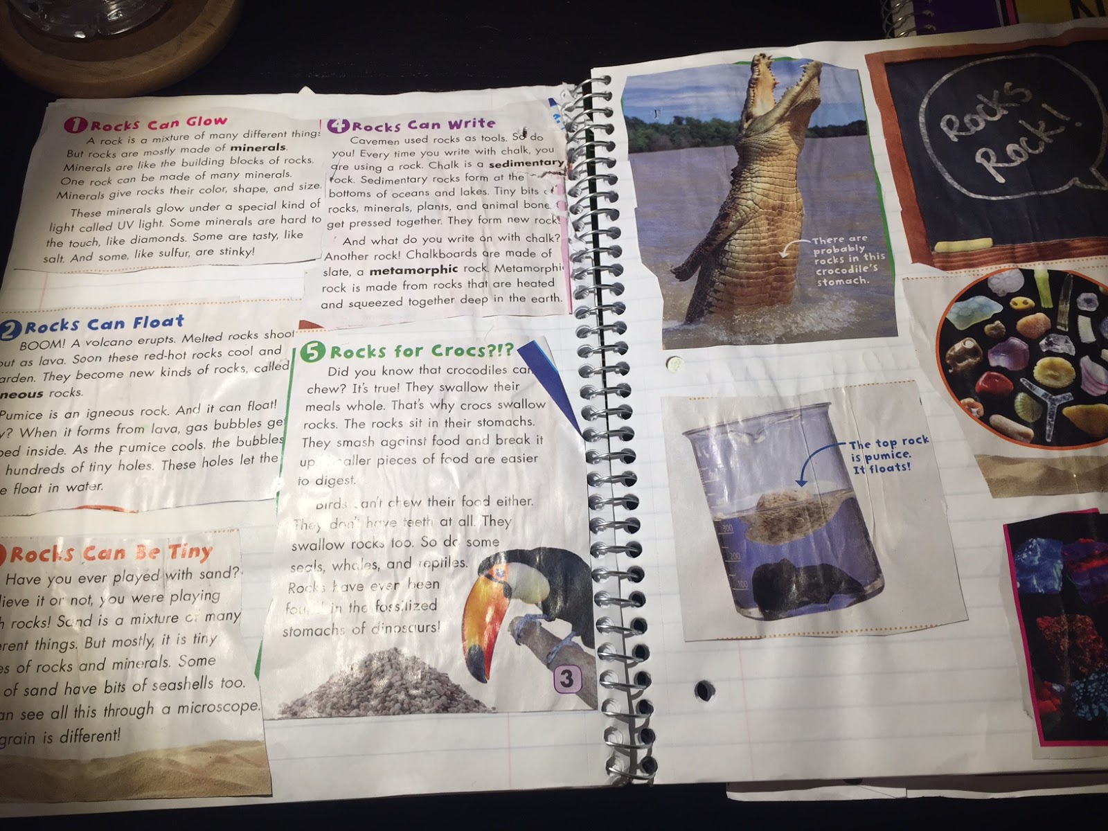 Daisy Designs: What Worked: Science Notebooks