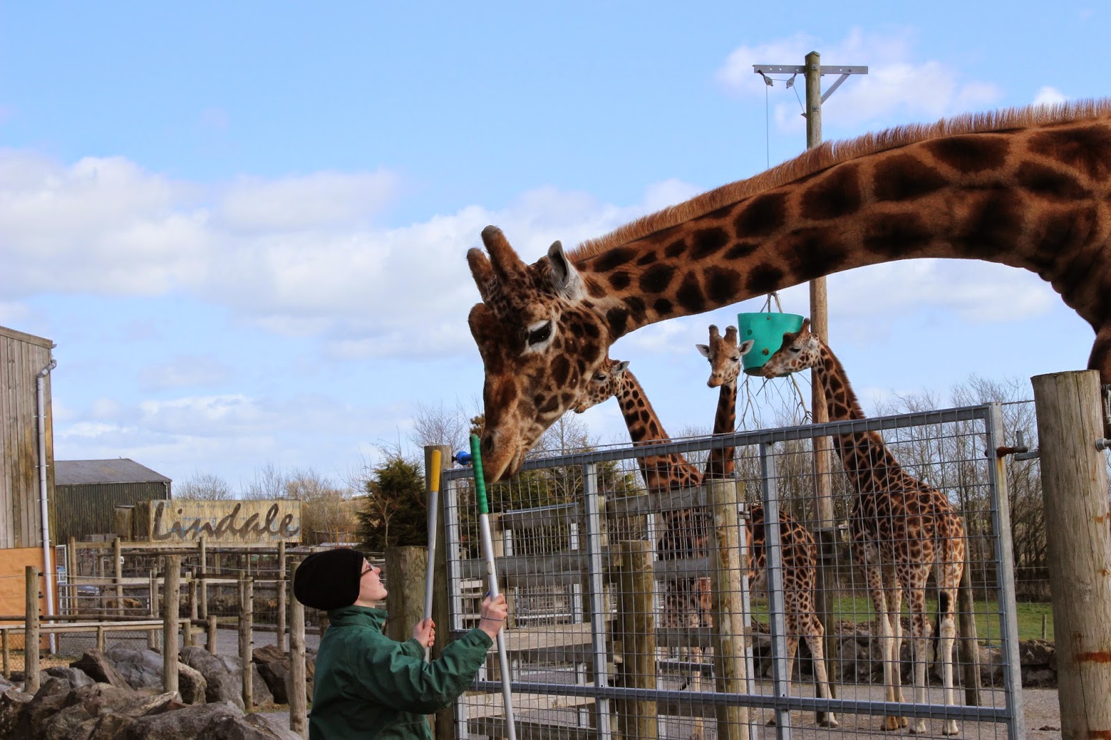Folly Farm Adventure Park & Zoo | Review | Emily and Indiana