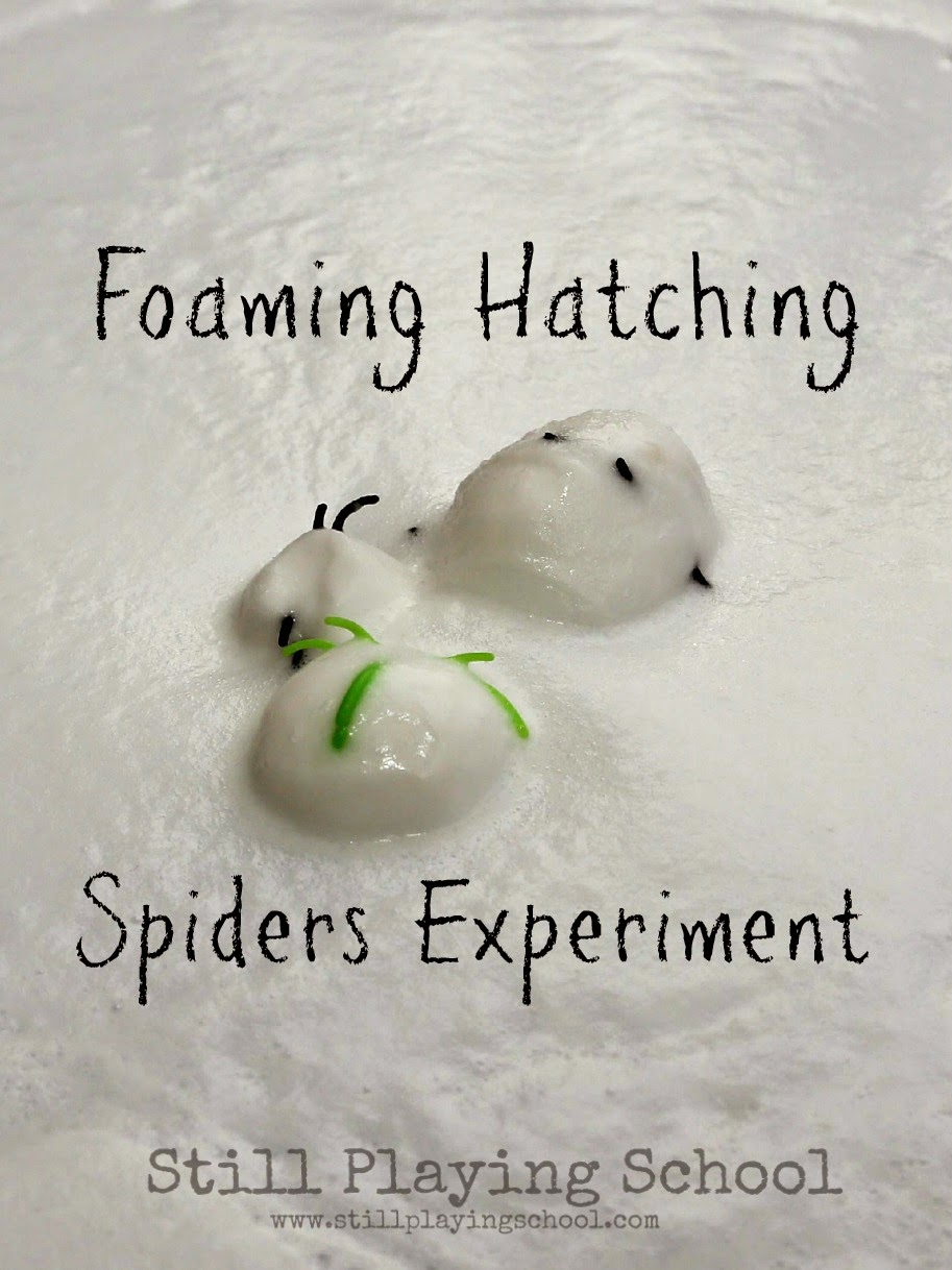 Sensory Spider Hatching for Kids | Still Playing School