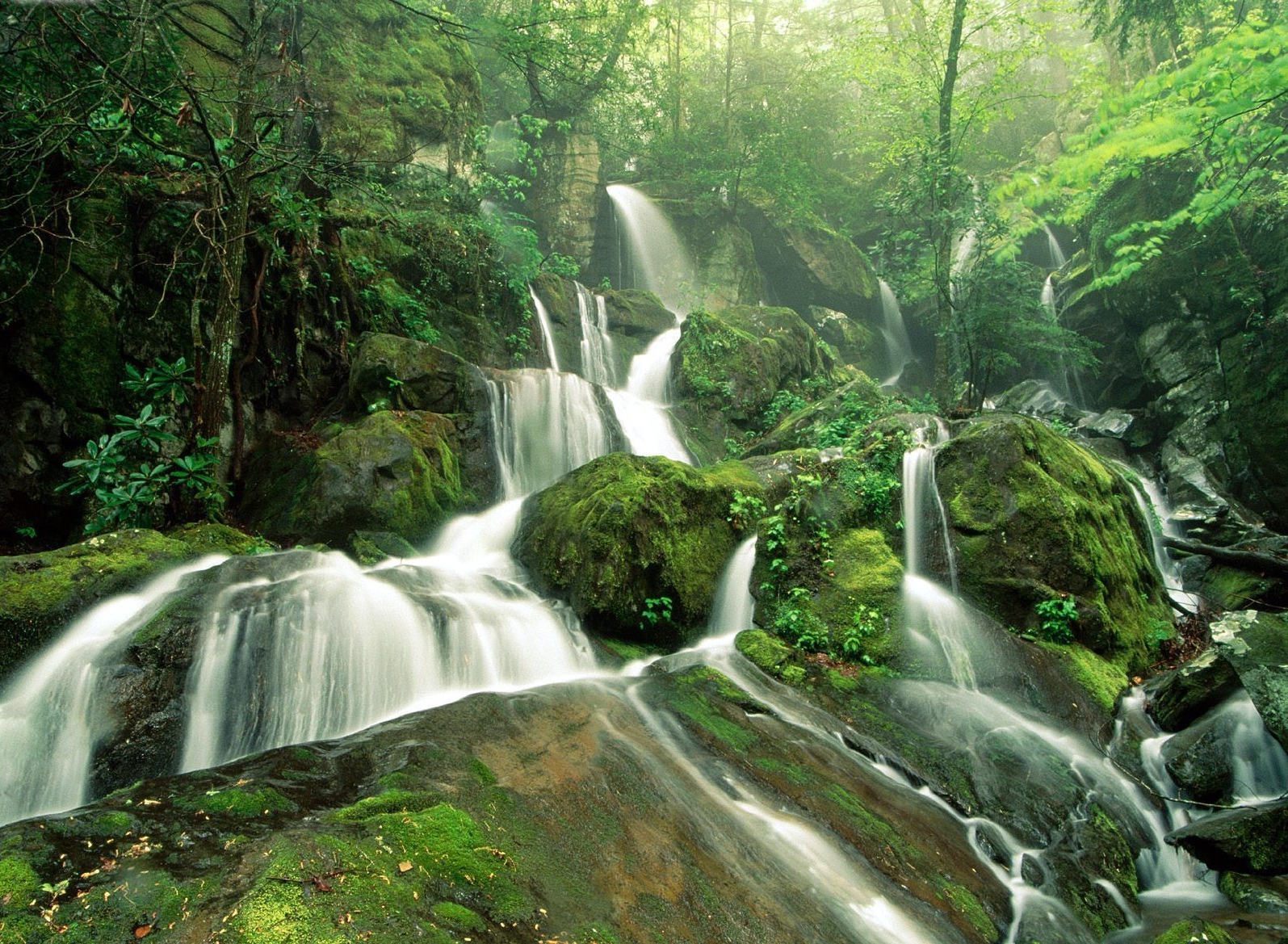Great Smoky Mountains National Park | Great Smoky Mountains National ...
