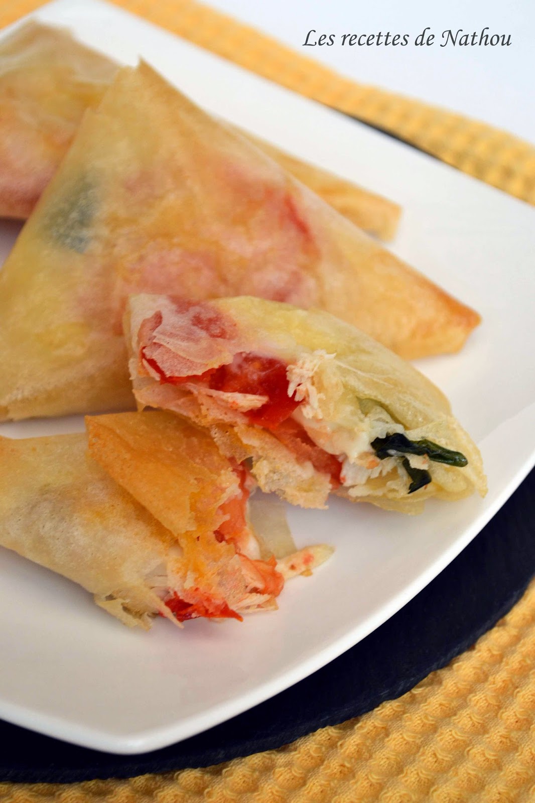 Ma cuisine au fil de mes idées...: Samoussas au poulet, tomate et ...