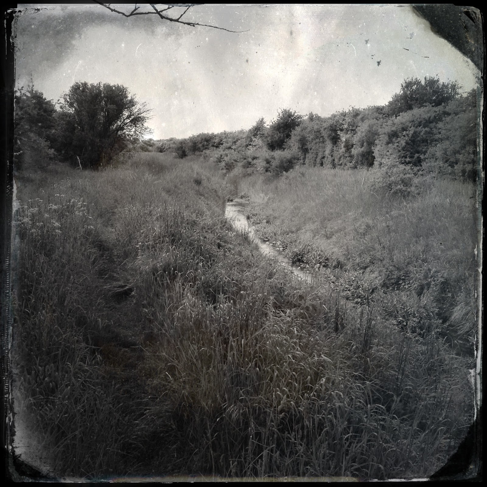 Fulbourn Fen and Great Wilbraham Common