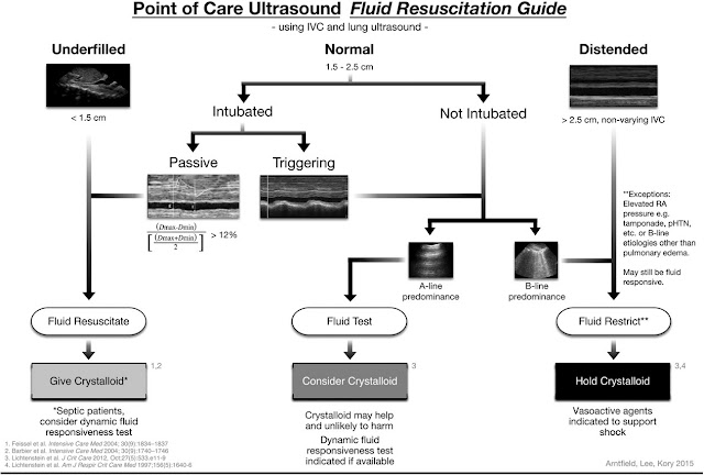 ResUS 1: ResUS in the Literature: Finally!! A Fluid ResUS Protocol