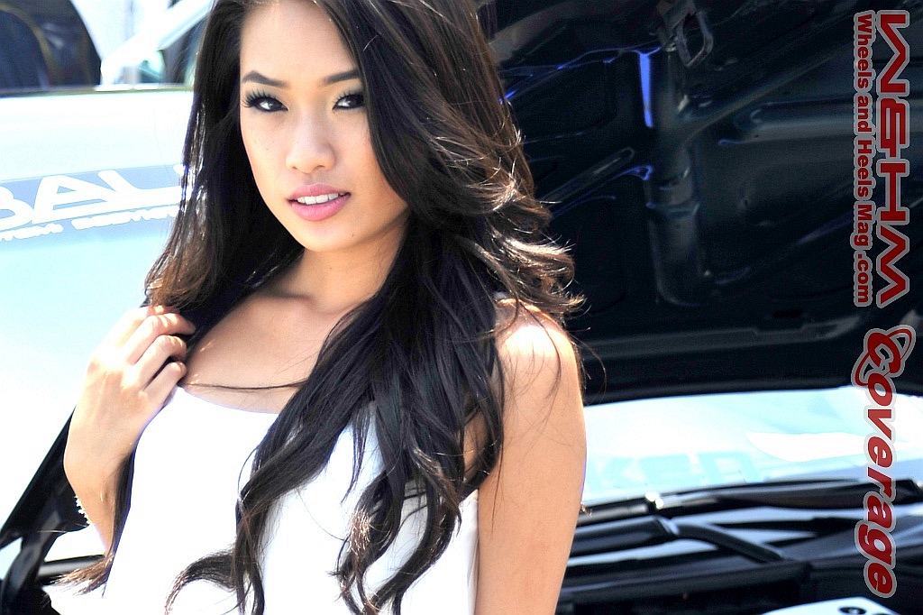 Sandra Wong Wallpaper