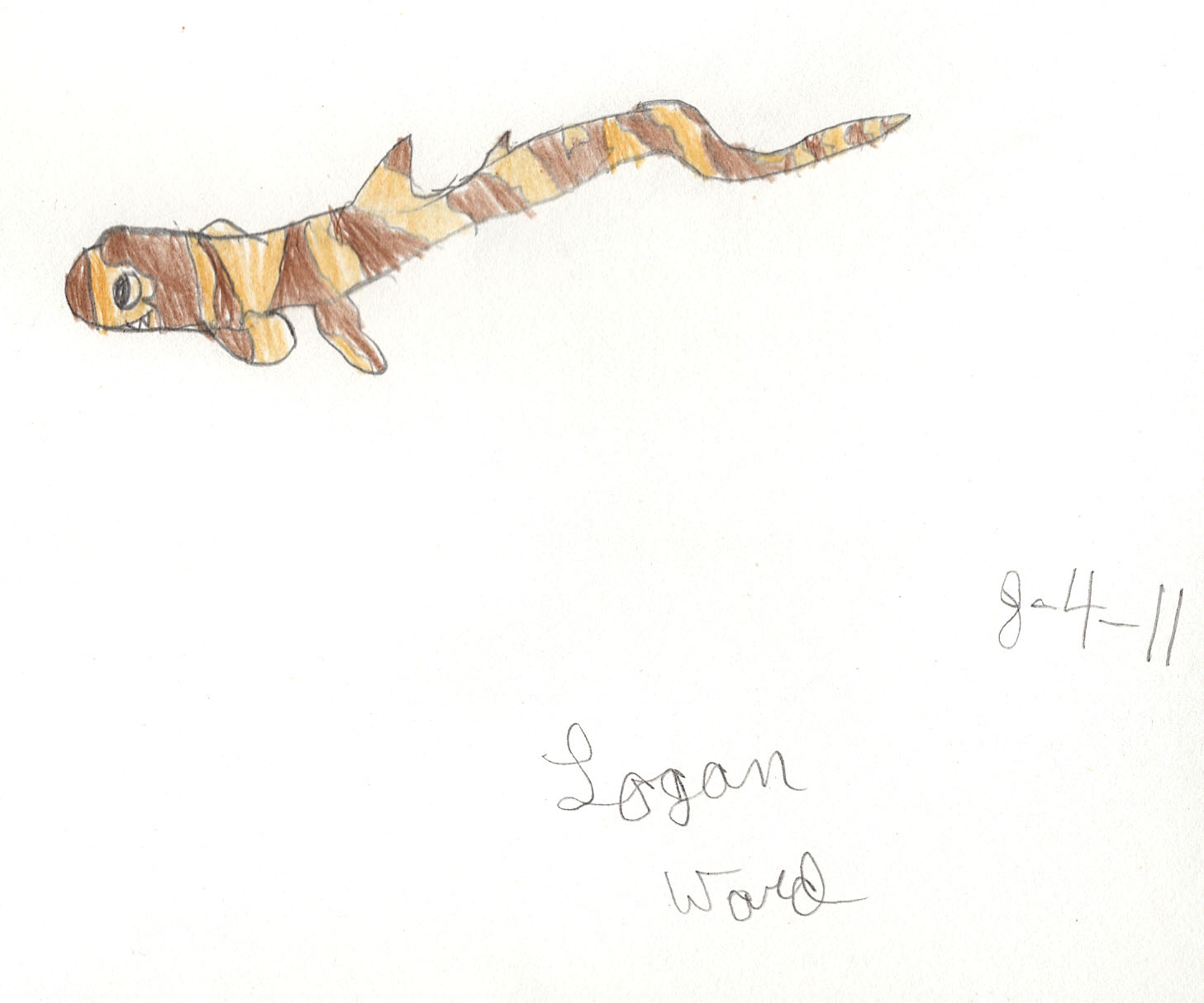 WardEntertainment: Bamboo Shark