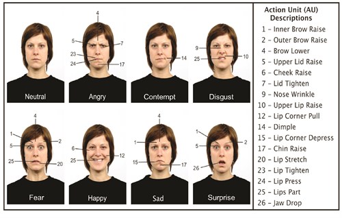 Técnicas de neuromarketing (VI): emotional facial coding - Brain and ...