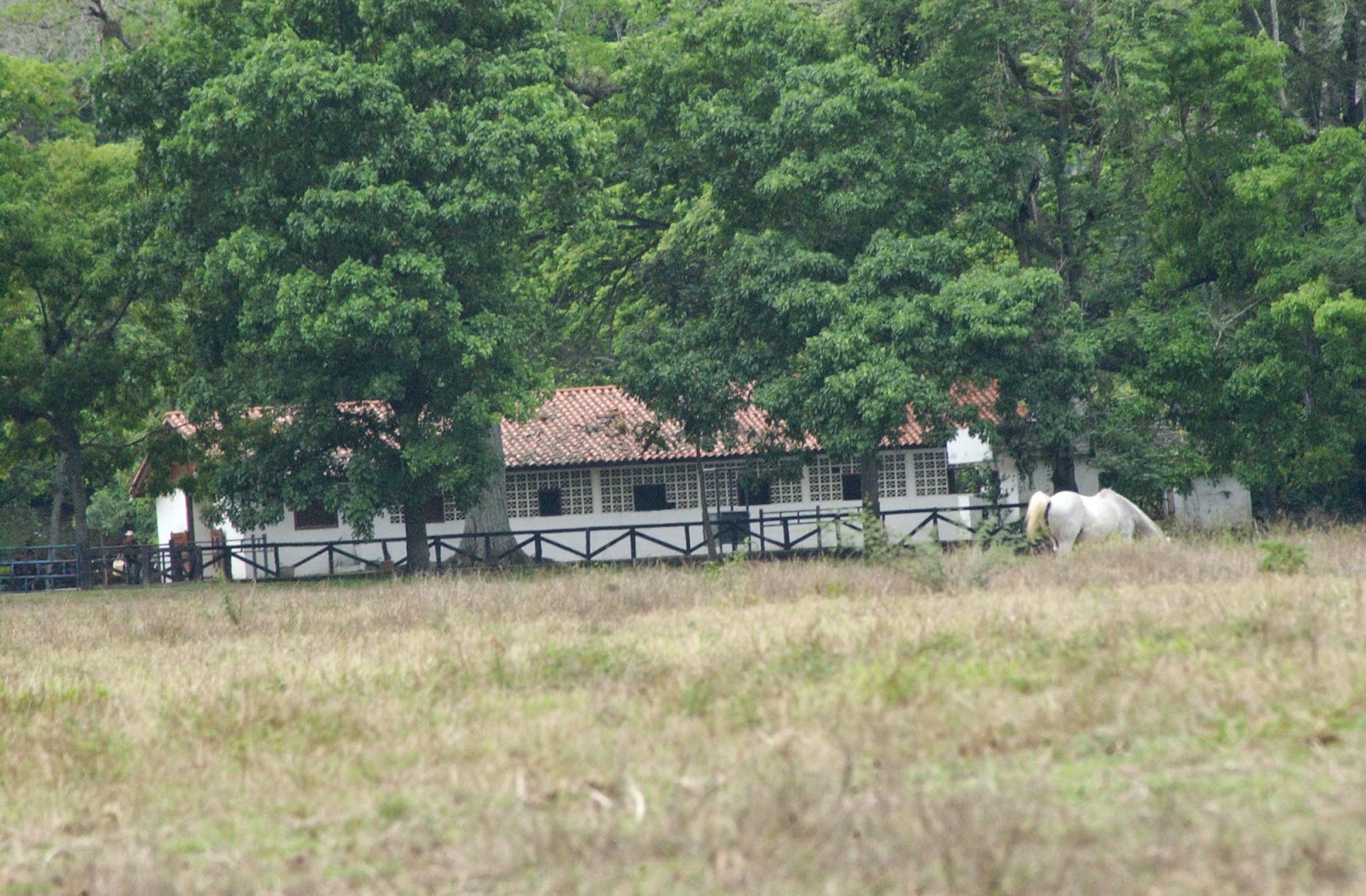 Bejuma al día...: VISTA DEL OCCIDENTE DE CARABOBO