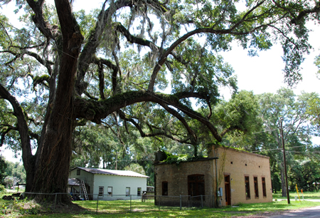 Desolation Florida: Citra