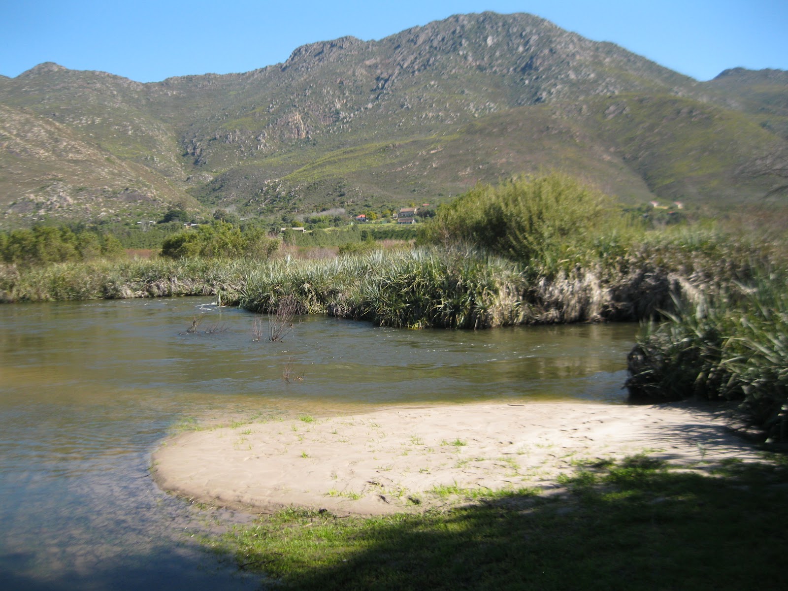 [Fair.ly Traded] Food for Thought: Citrusdal Hospitality - ALG Boerdery