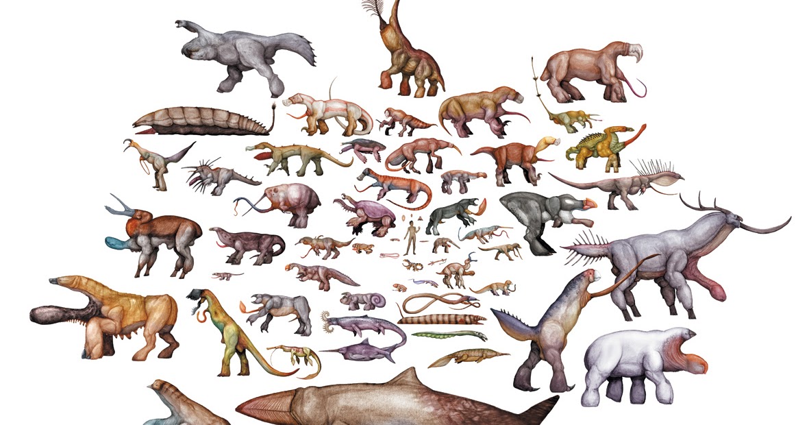 Secondary World Problems: The Art of World-Building: Kosemen's Snaiad