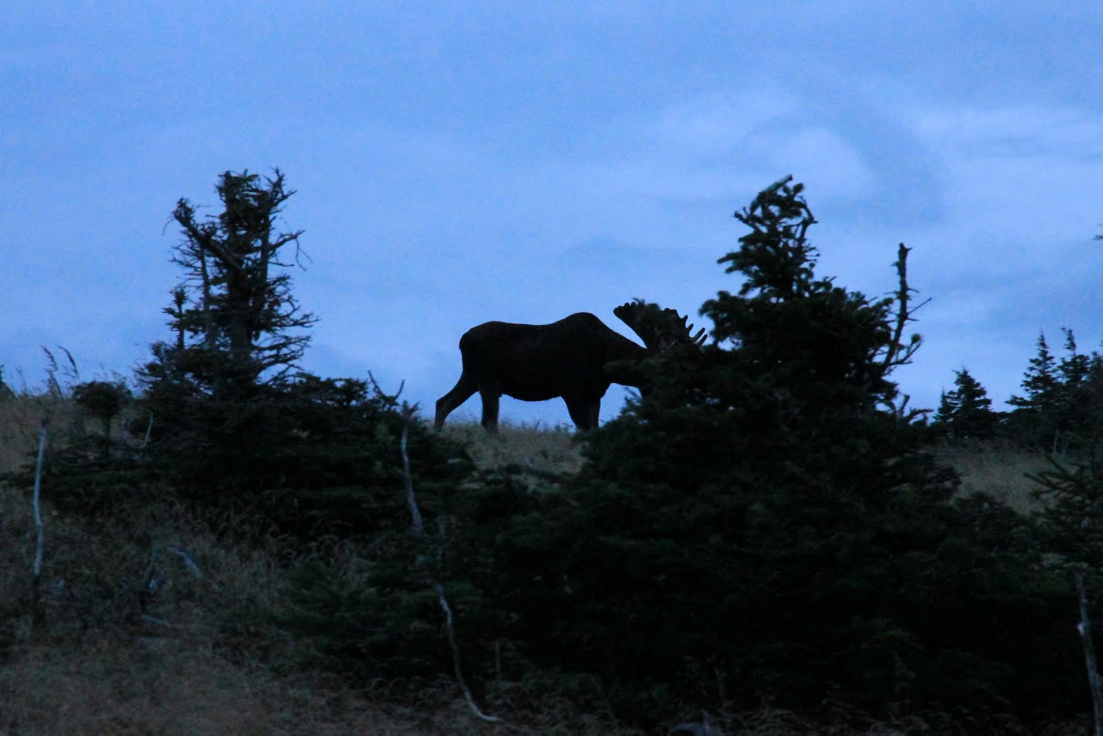 Greggle Goes West: You’ve Already Won Me Over, In Spite of Me