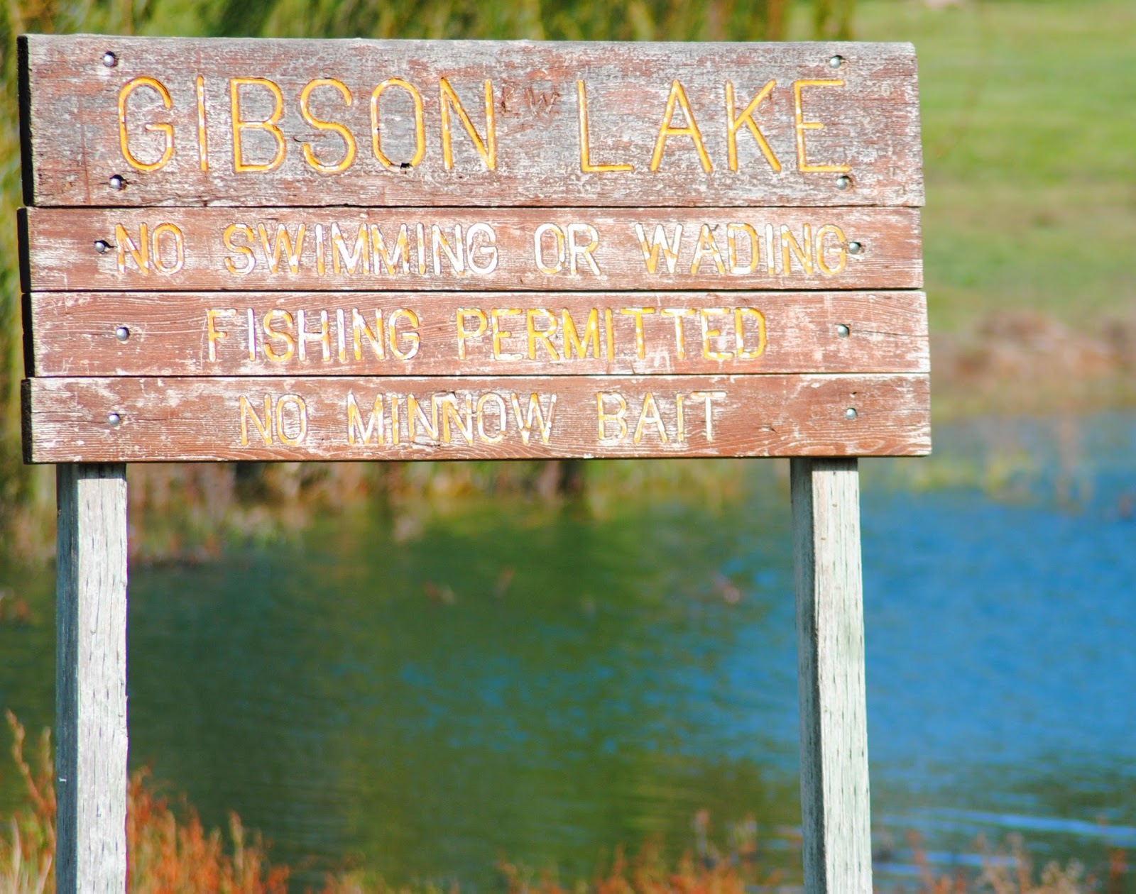 Adventures through Photography: Gibson Ranch Visit ~~ October 25, 2014