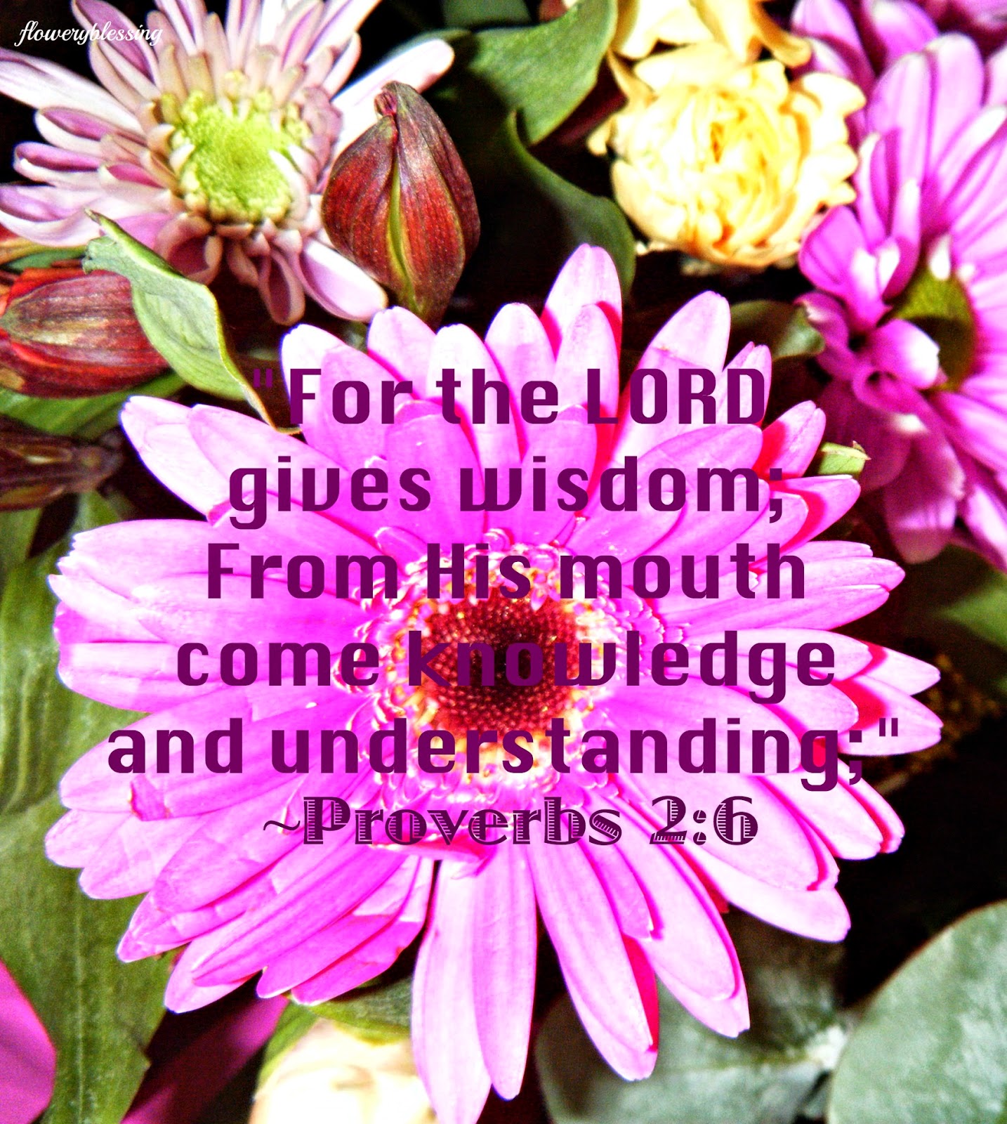 Flowery Blessing: "For the LORD gives wisdom; From His mouth come ...