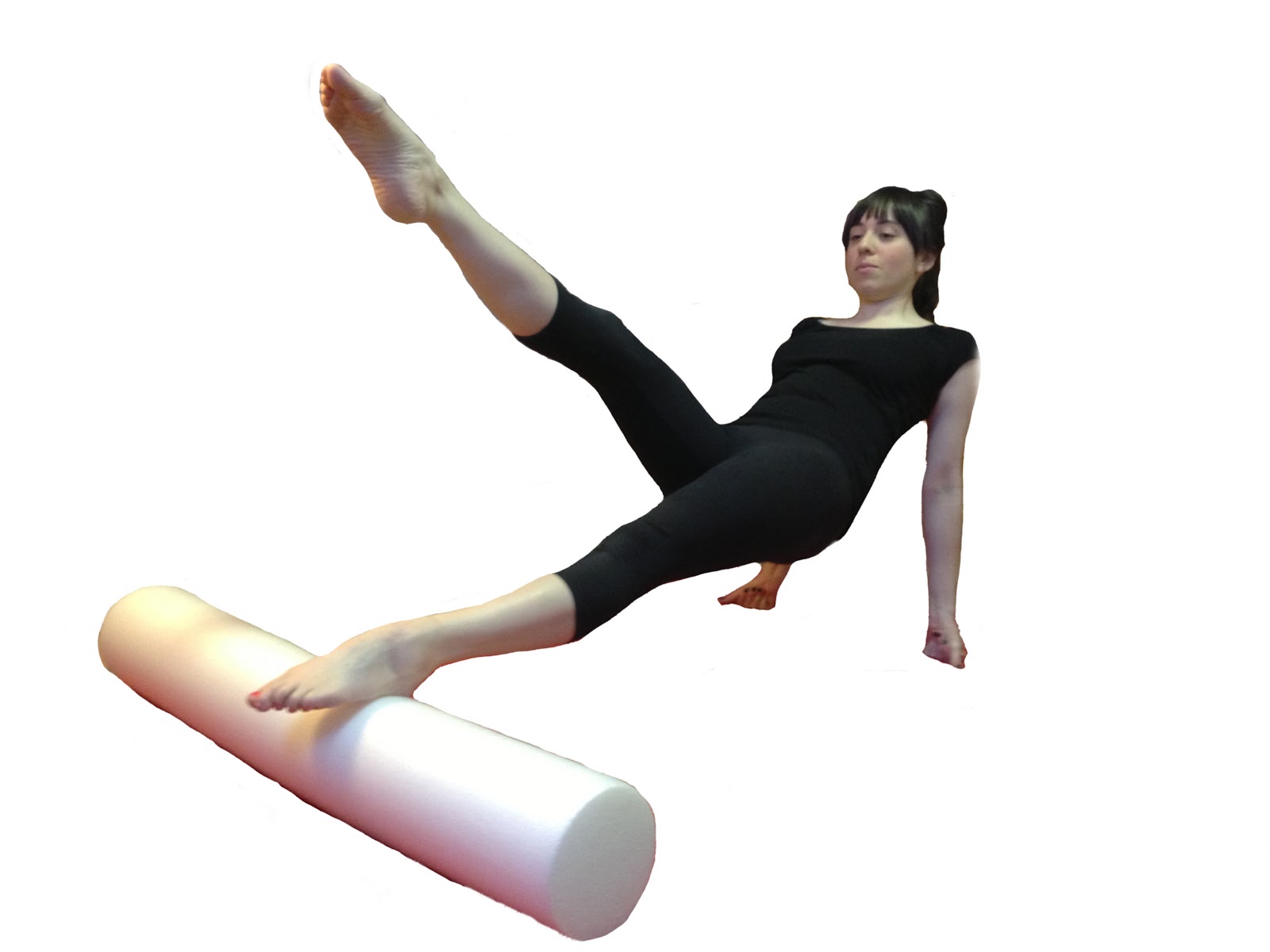 Exercise of the Day: Day 335- Leg Pull Back Feet on Log