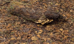 mytexturedworld: Landscape in contemporary textile art