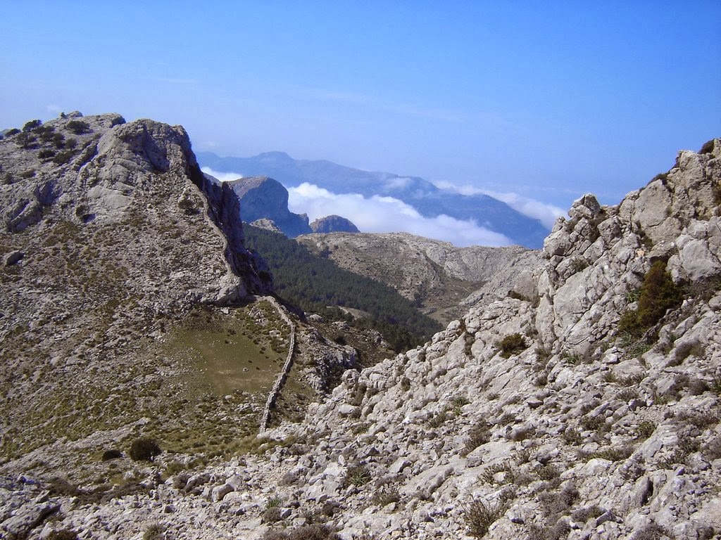 EL PERQUÈ DE TOT PLEGAT