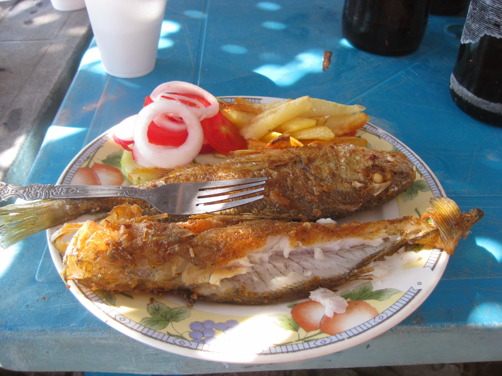 The Land of Eternal Spring: Peace Corps, Guatemala : Beach Weekend in ...