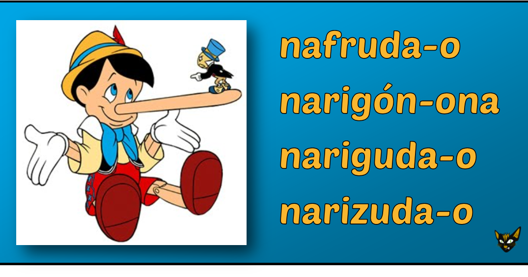 Zarampagalegando: Dicionario visual. Narigón-ona