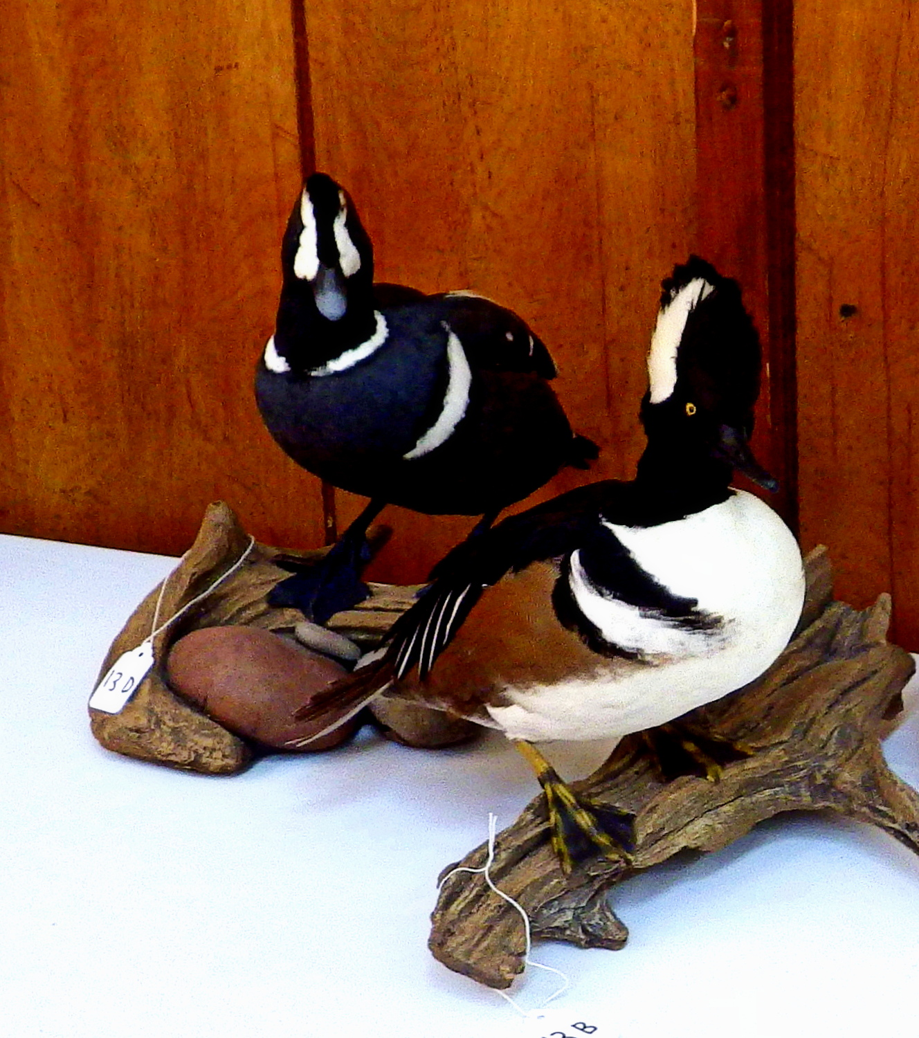 Reverend Fowl: Photo Album: Game Fair 2018 Reopens August 17th