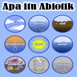 Pengertian Abiotik dan Komponen Abiotik beserta Fungsinya
