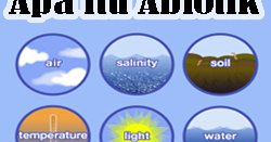 Pengertian Abiotik dan Komponen Abiotik beserta Fungsinya