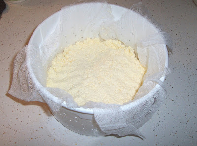 Survival and Preparedness on a Budget: Making Cheddar Cheese